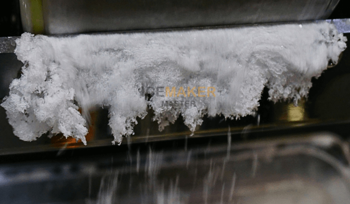How to Use an Ice Maker | Steps to follow